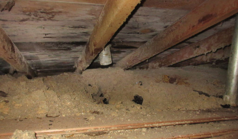 Loose or Missing Vent Connections Spell Bad News in Your Attic ...